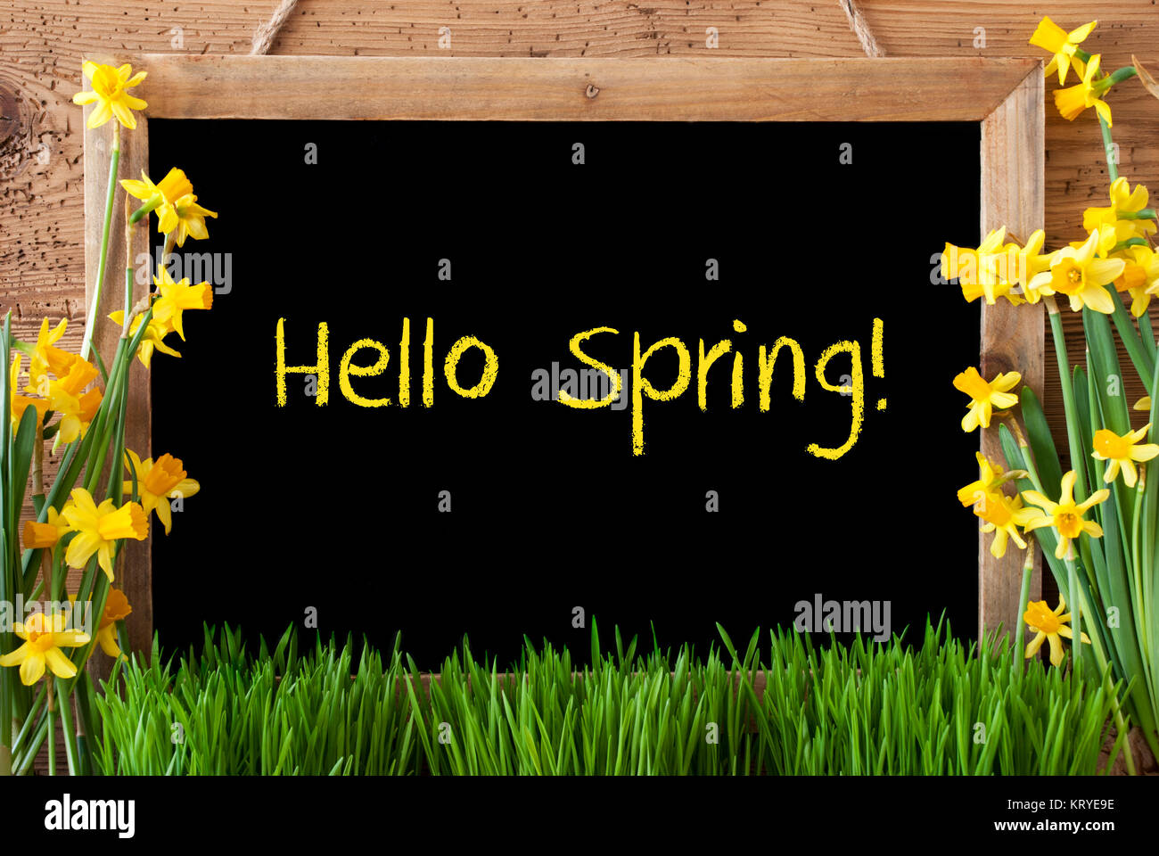 Spring flowers nacissus hi-res stock photography and images - Alamy