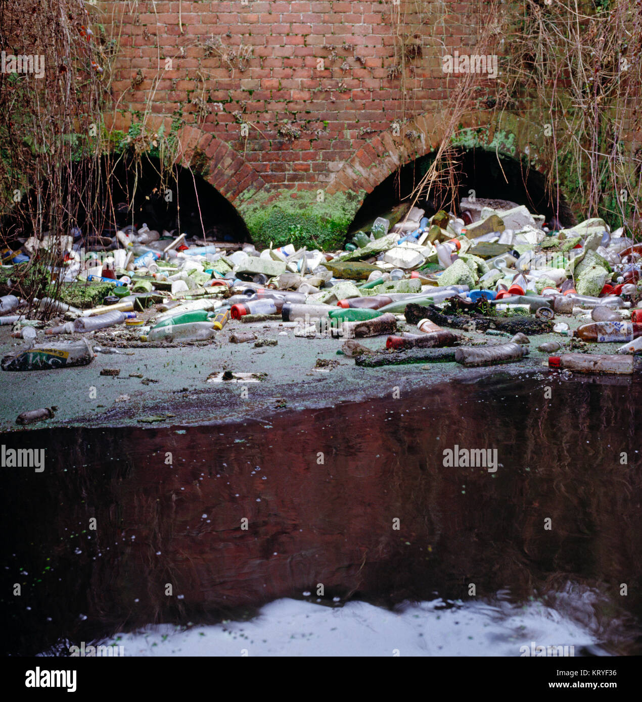 Italy, Lombardy, Province of Cremona, Water Pollution Stock Photo - Alamy