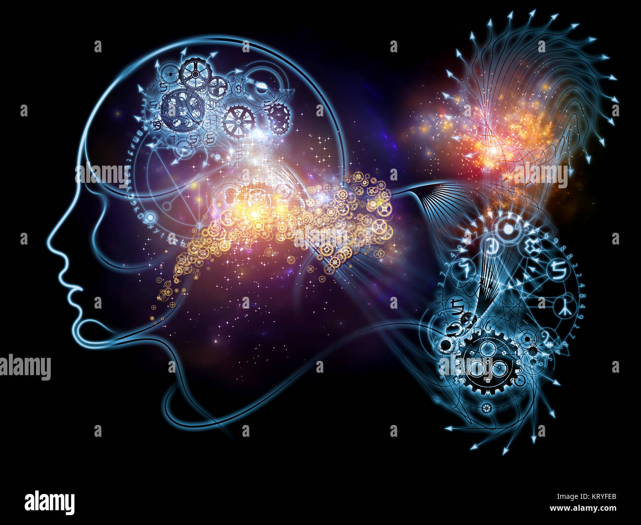 Face orbits hi-res stock photography and images - Alamy