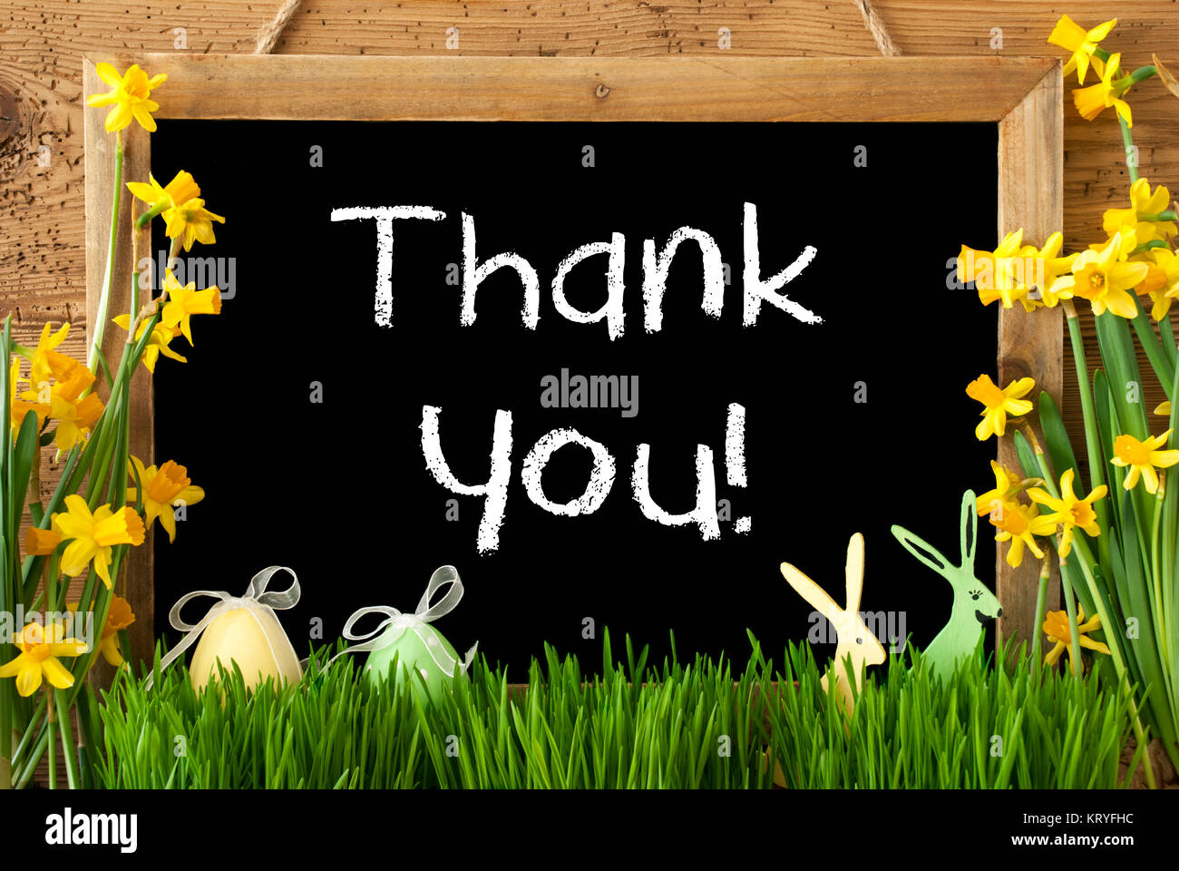 Blackboard With English Text Thank You. Spring Flowers Nacissus Or ...