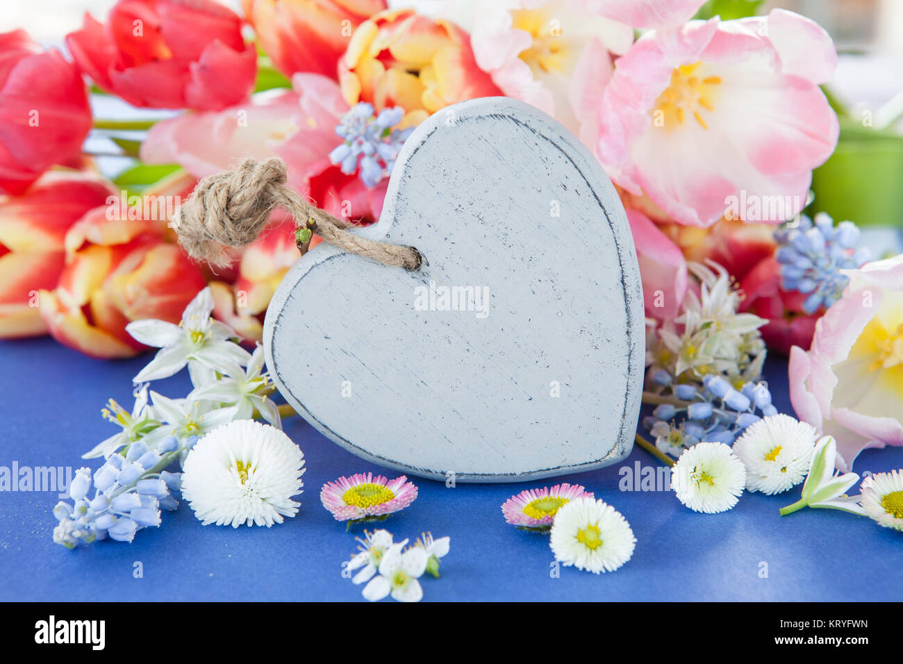 colorful spring flowers on blue Stock Photo - Alamy