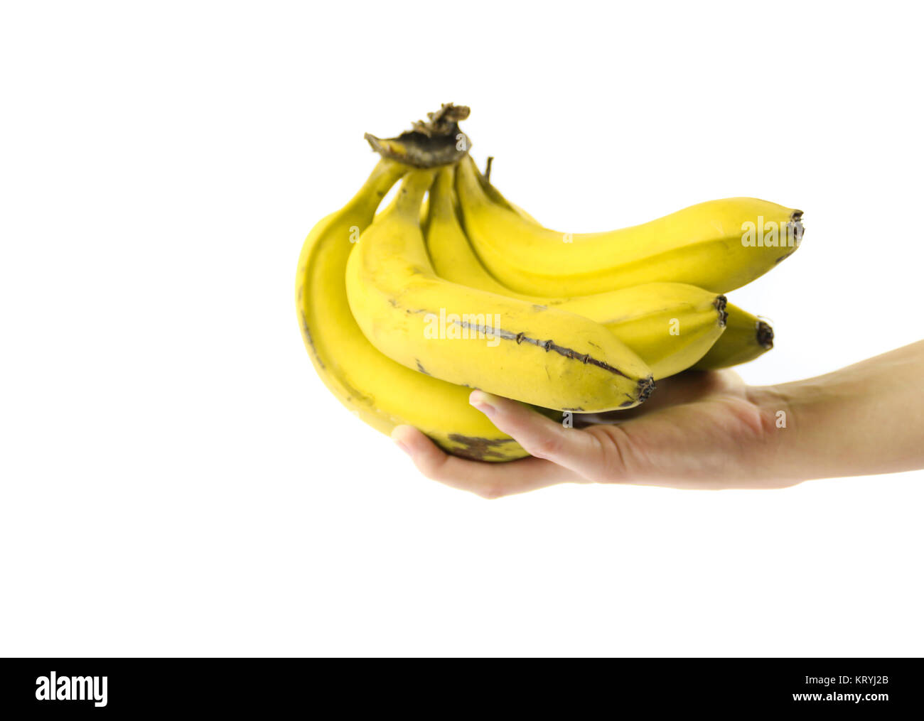 Hand holding some nutrient rich bananas Stock Photo - Alamy