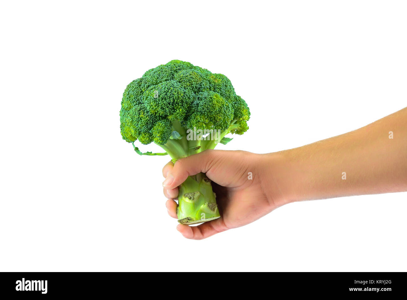 Hand showing a fresh Broccoli flower Stock Photo - Alamy