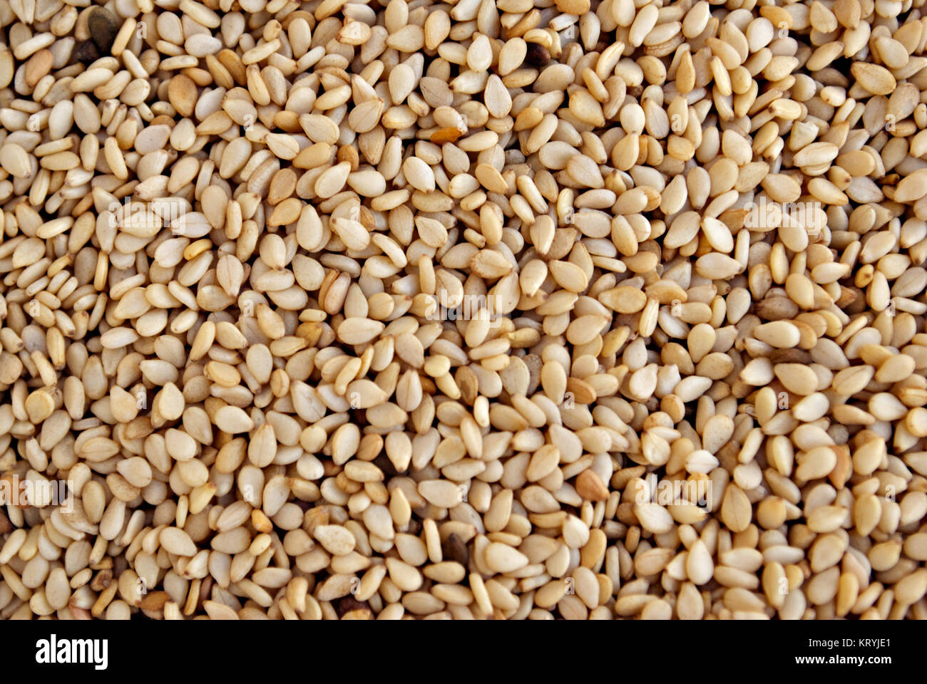 Sesame seed is considered to be the oldest oilseed crop known to ...