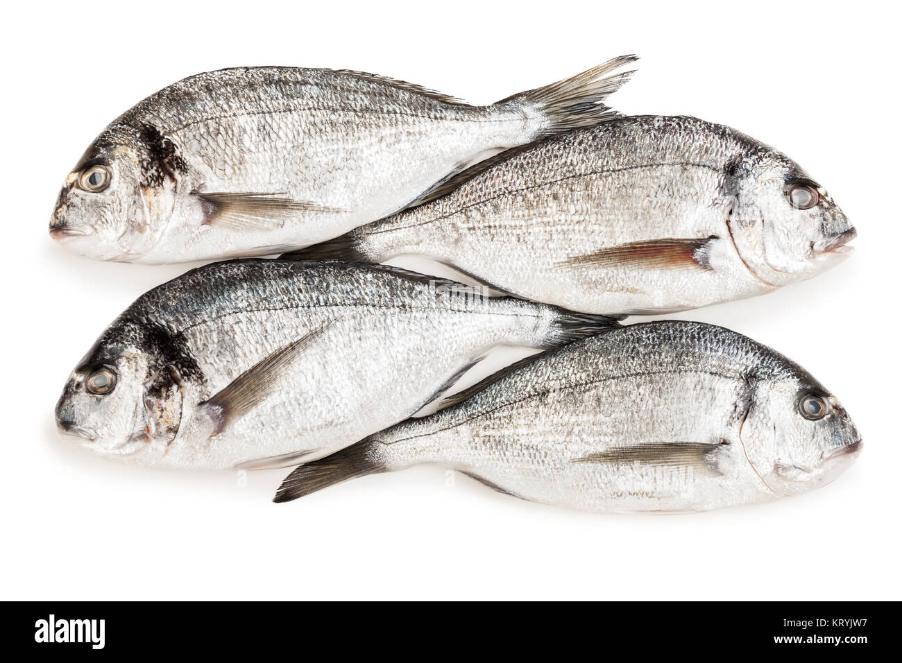 Healthy eating seafood - raw gilthead fish food heap white isolated ...