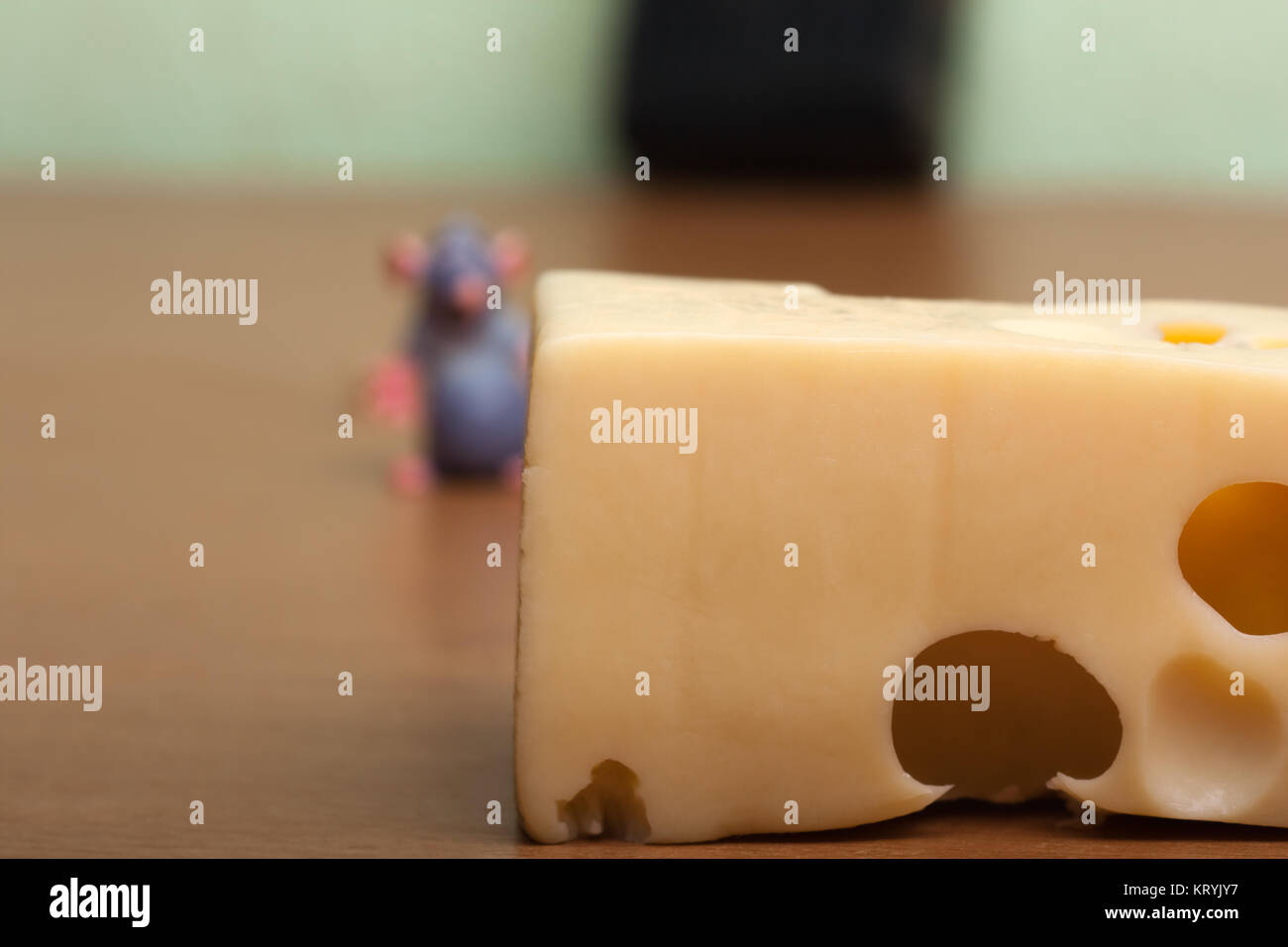 Rodent animal pest mouse smelling hole cheese food Stock Photo - Alamy