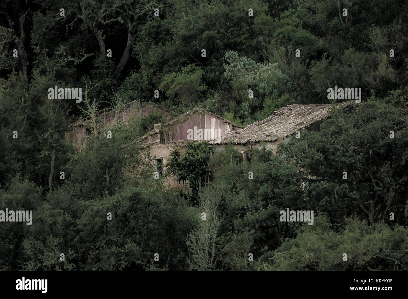 hidden past / sw Stock Photo - Alamy