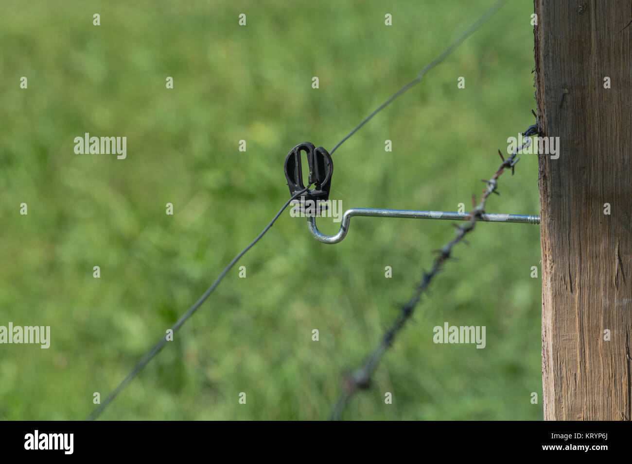 insulator of an electric fence Stock Photo - Alamy