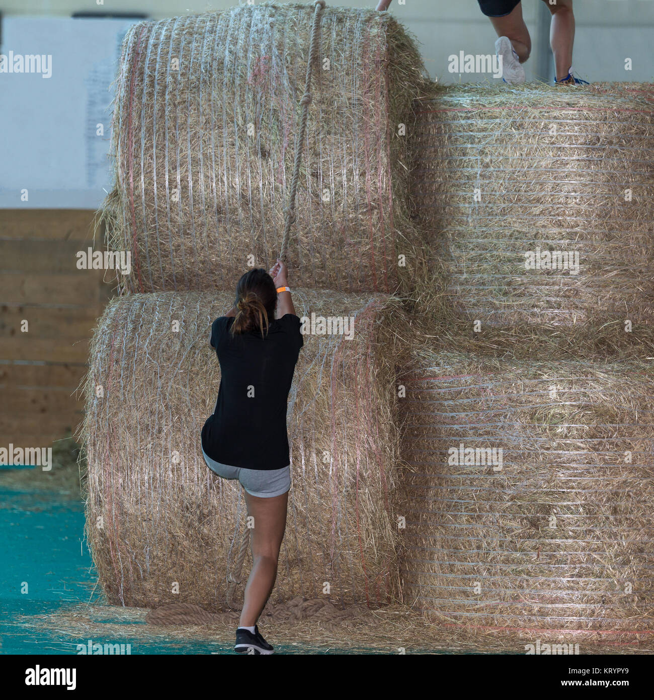 Indoor Hay Bale Obstacle Running Contest: People Climb Bale with Rope ...