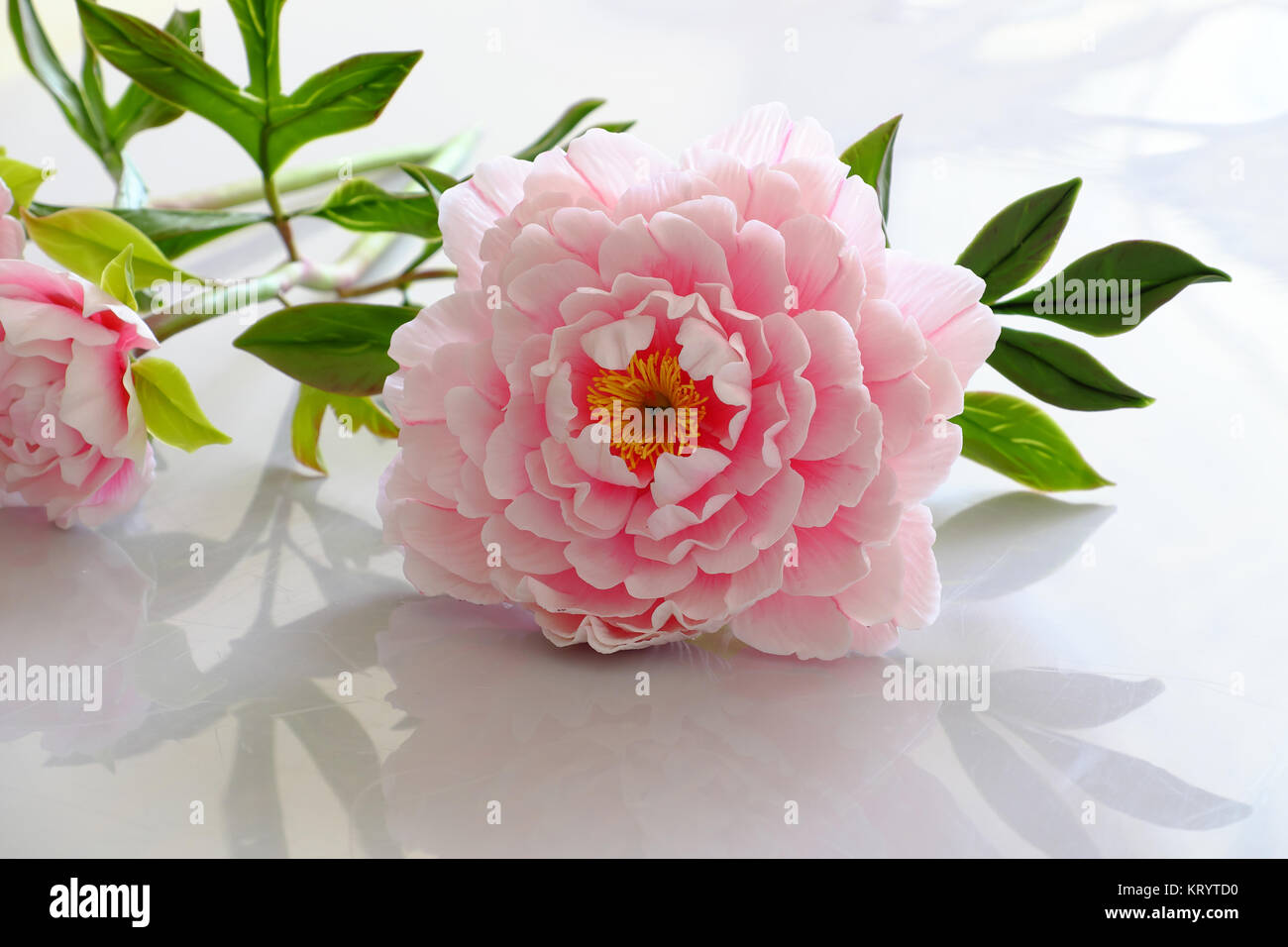 Amazing peony flower from clay on white background, artificial flower ...