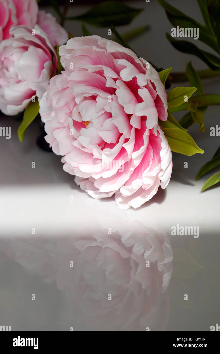 Amazing peony flower from clay on white background, artificial flower ...