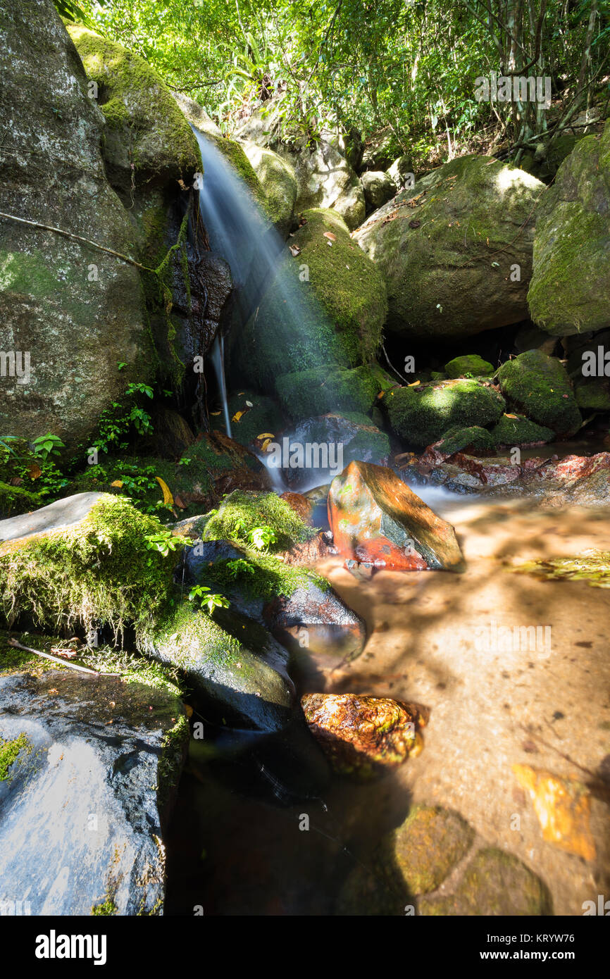 Small waterfall in Masoala national park, Madagascar Stock Photo - Alamy