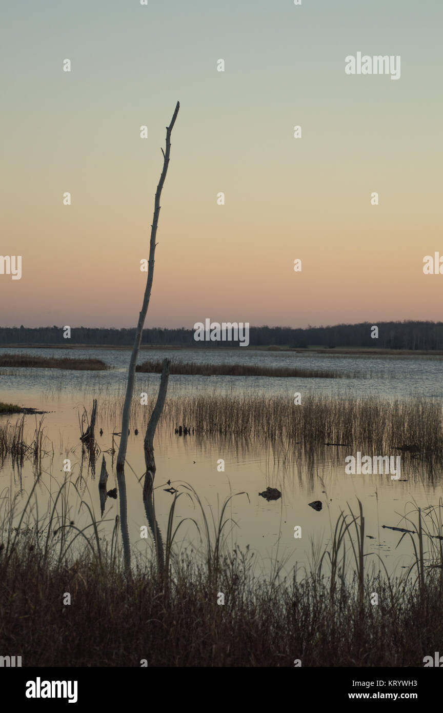 Otter lake at dawn Stock Photo - Alamy