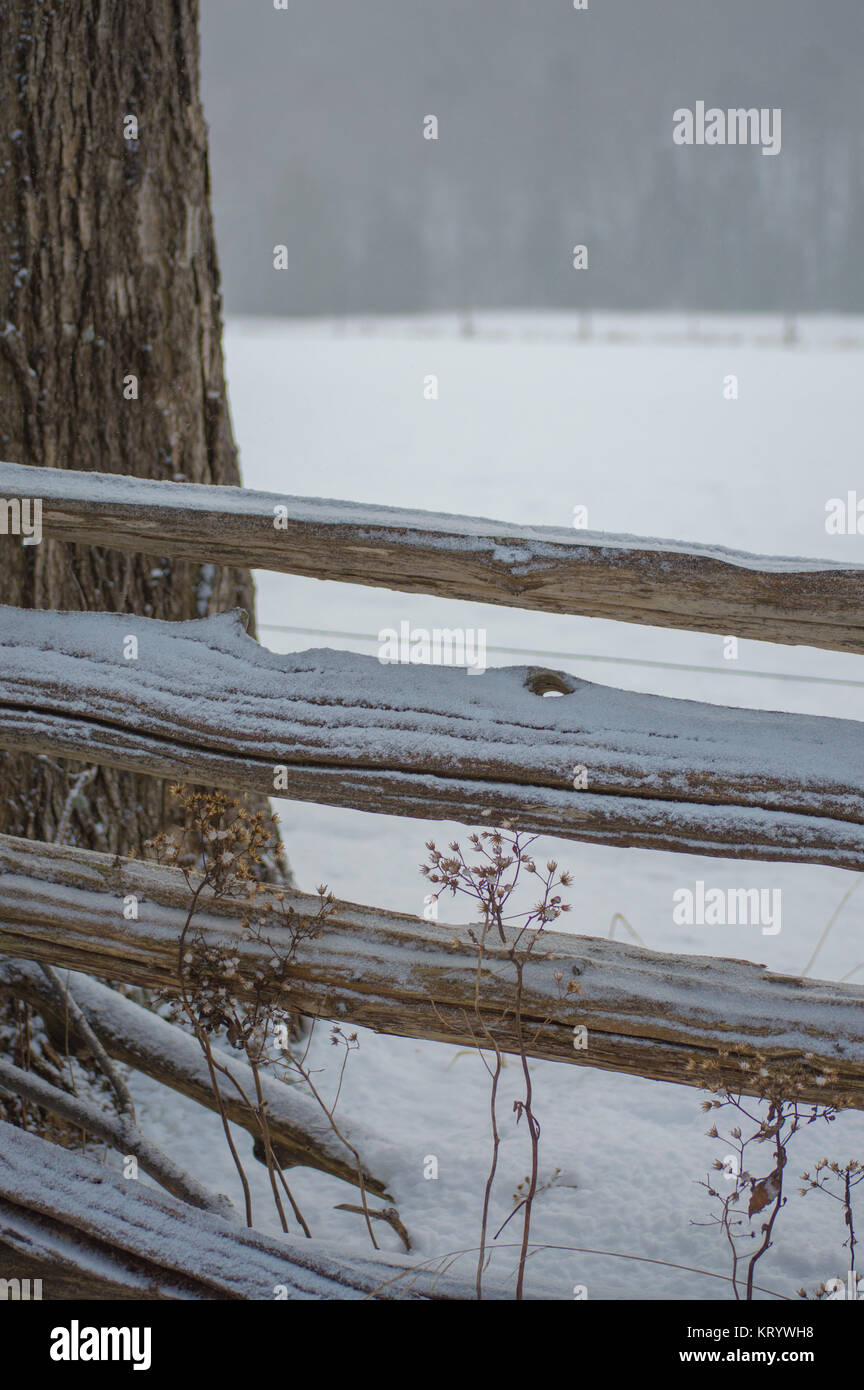 Rustic cedar rail fence with snow dusting Stock Photo - Alamy