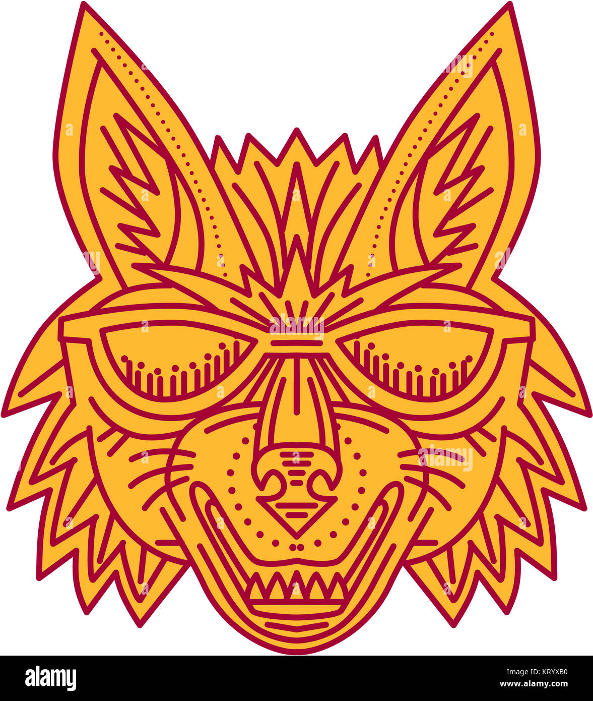 Smiling coyote hi-res stock photography and images - Alamy