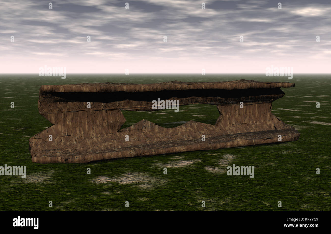 tree stump on forest floor Stock Photo - Alamy