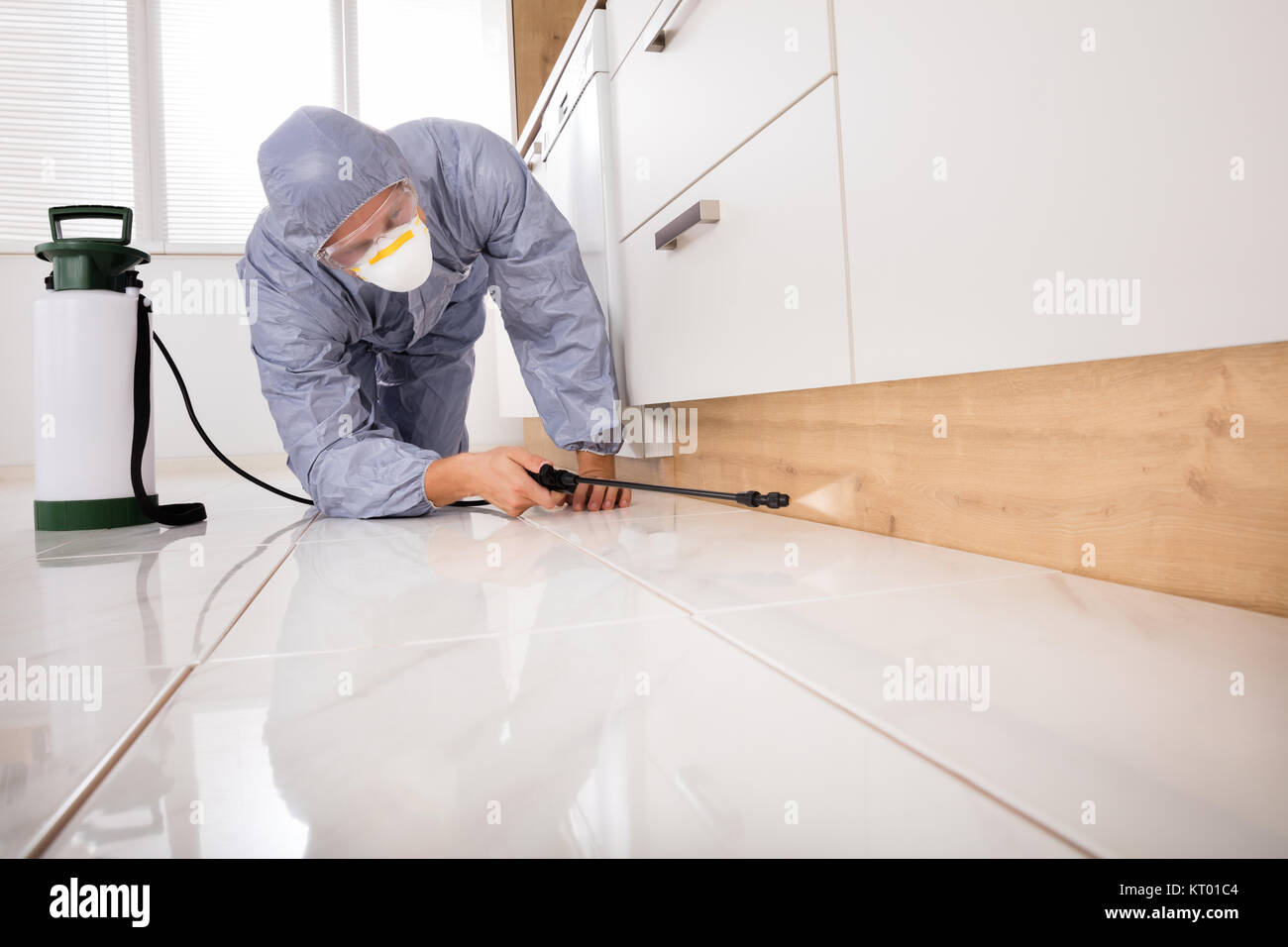 Exterminator Spraying Pesticide In Kitchen Stock Photo - Alamy