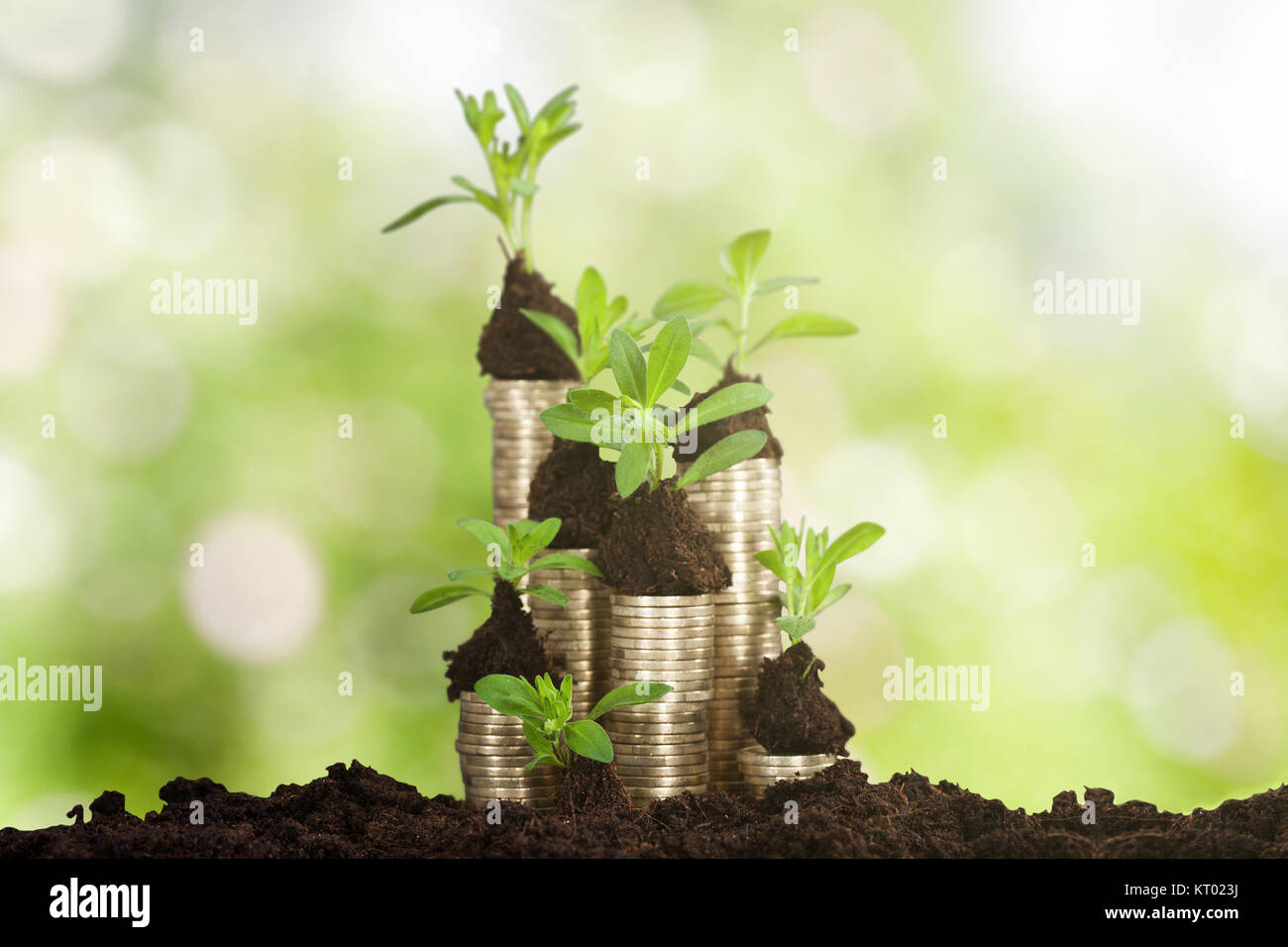 Small Plant On Stacked Coins Stock Photo - Alamy