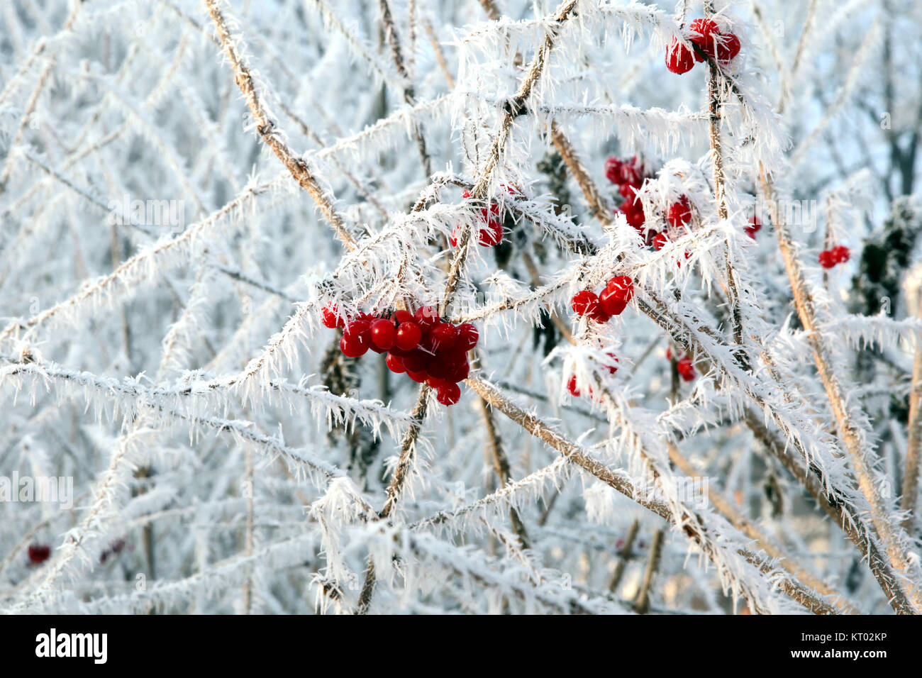 Weiay ta ne hi-res stock photography and images - Alamy