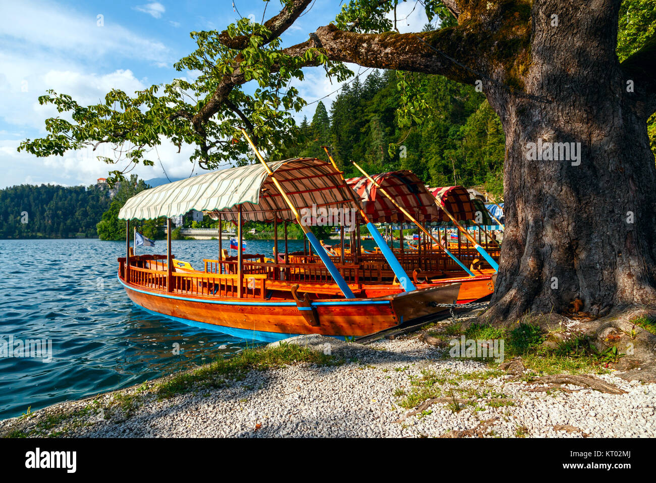 Traditional wooden boats Pletna on lake Bled Stock Photo - Alamy