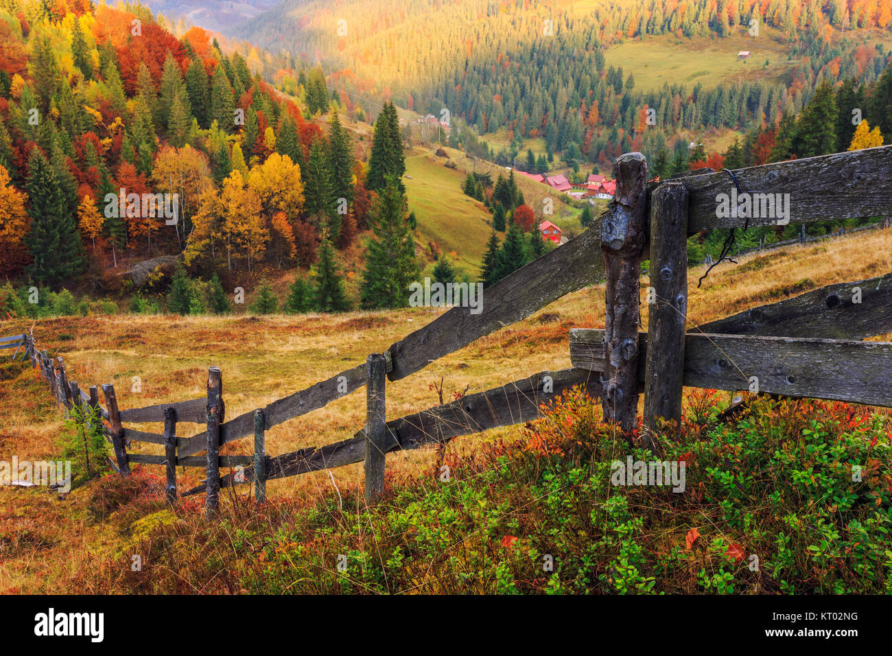 Colorful autumn landscape scene with fence in Transylvania Stock Photo ...