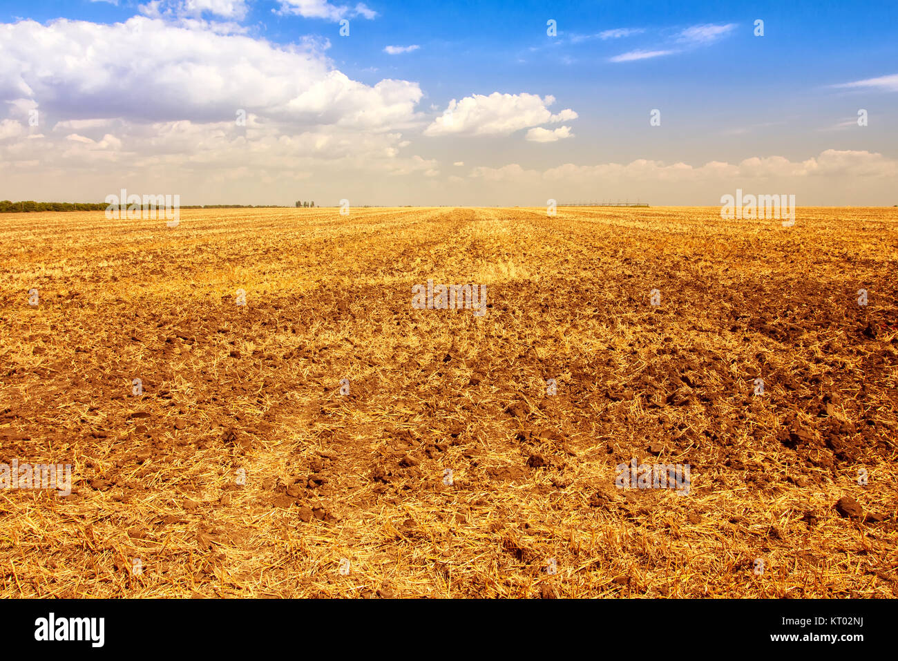 Harvesting growth hi-res stock photography and images - Alamy