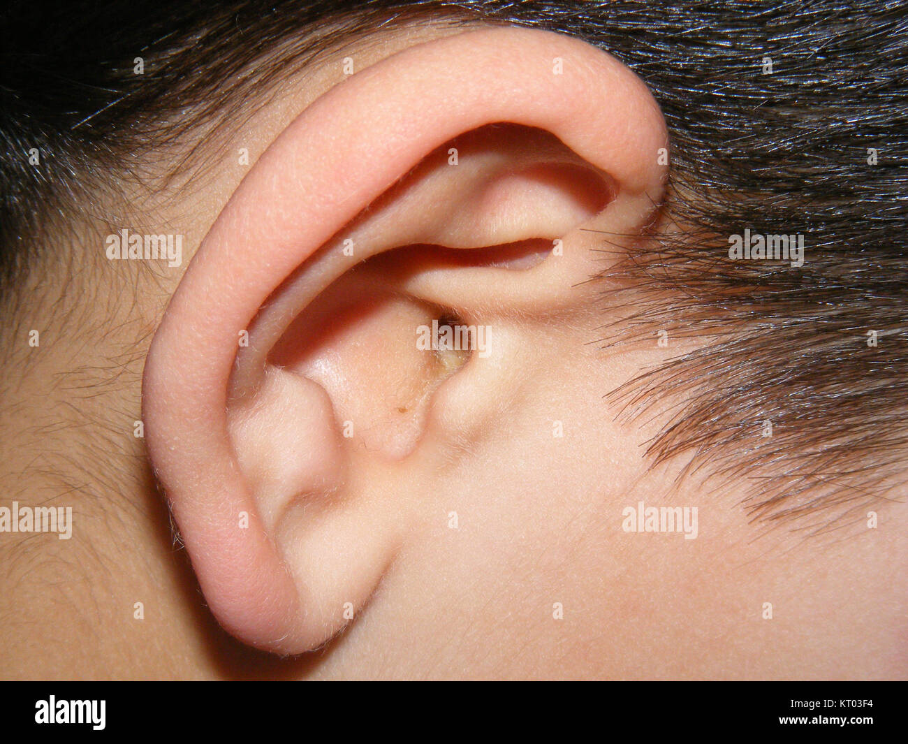 40008708130 hi-res stock photography and images - Alamy