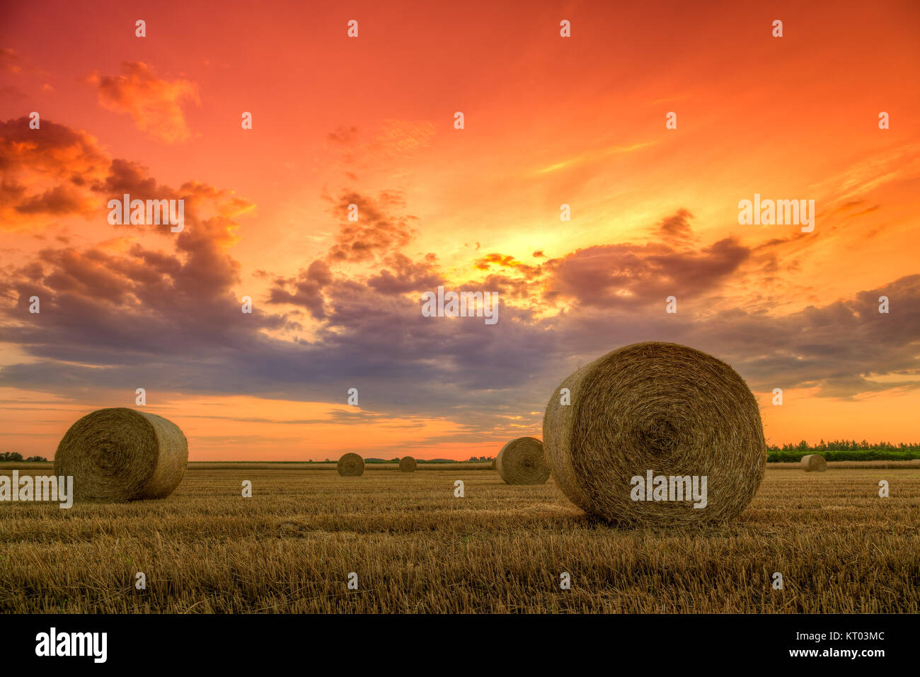 Sunset over farm field with hay bales Stock Photo - Alamy