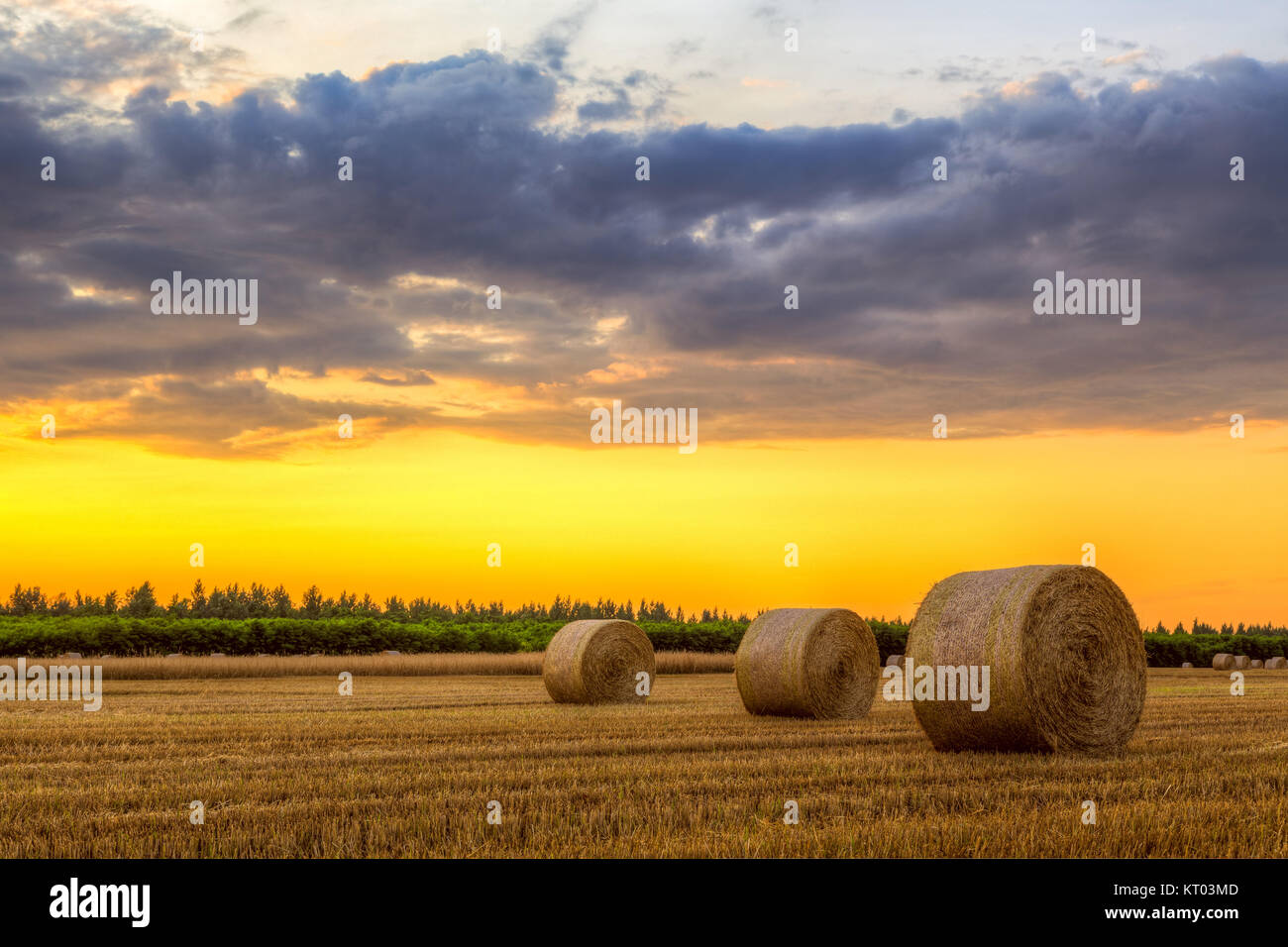 Sunset over farm field with hay bales Stock Photo - Alamy