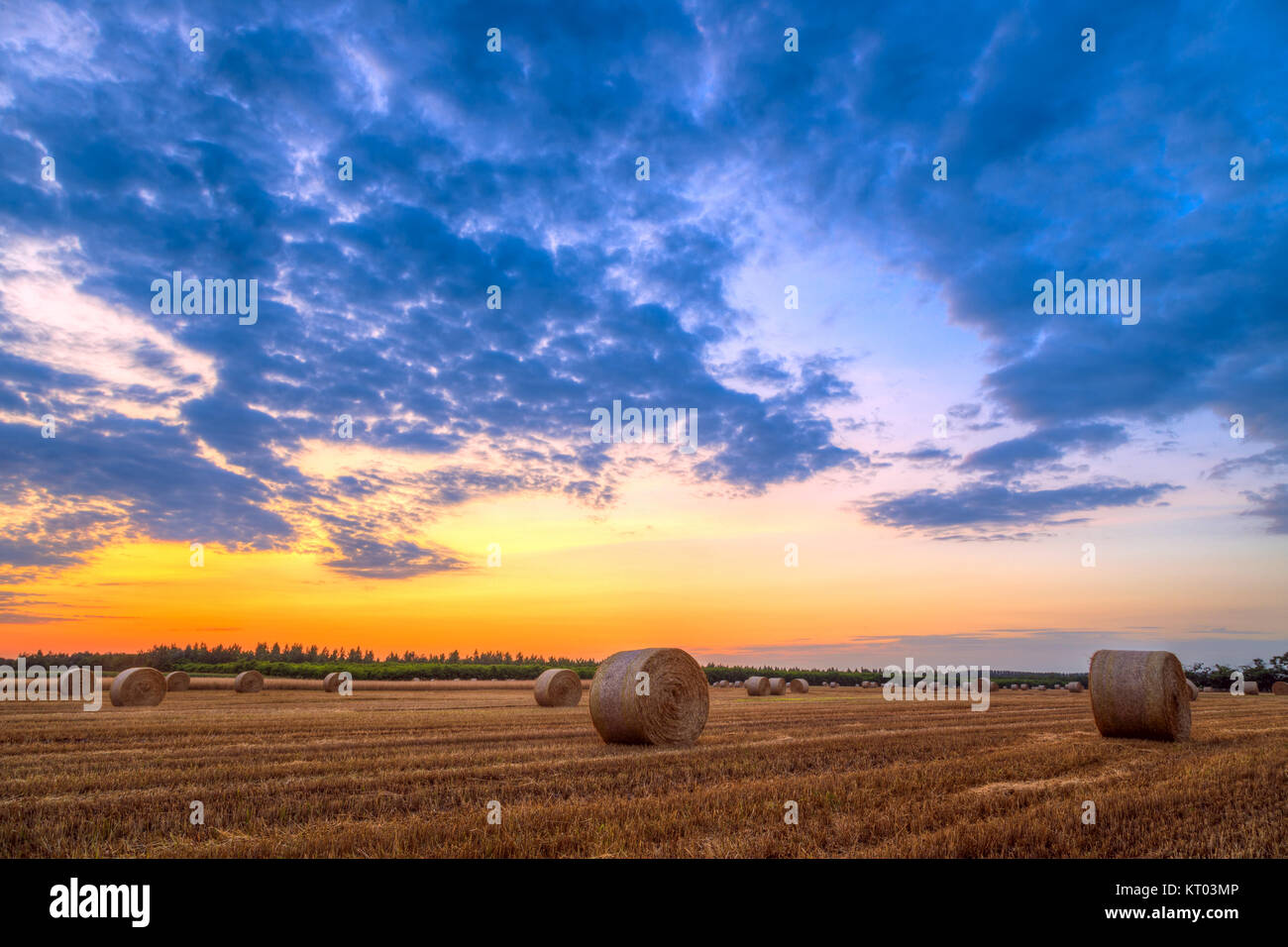 Sunset over farm field with hay bales Stock Photo - Alamy