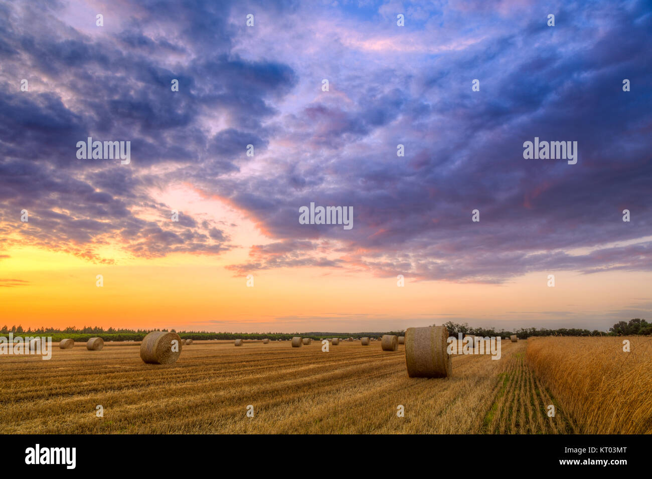 Sunset over farm field with hay bales Stock Photo - Alamy