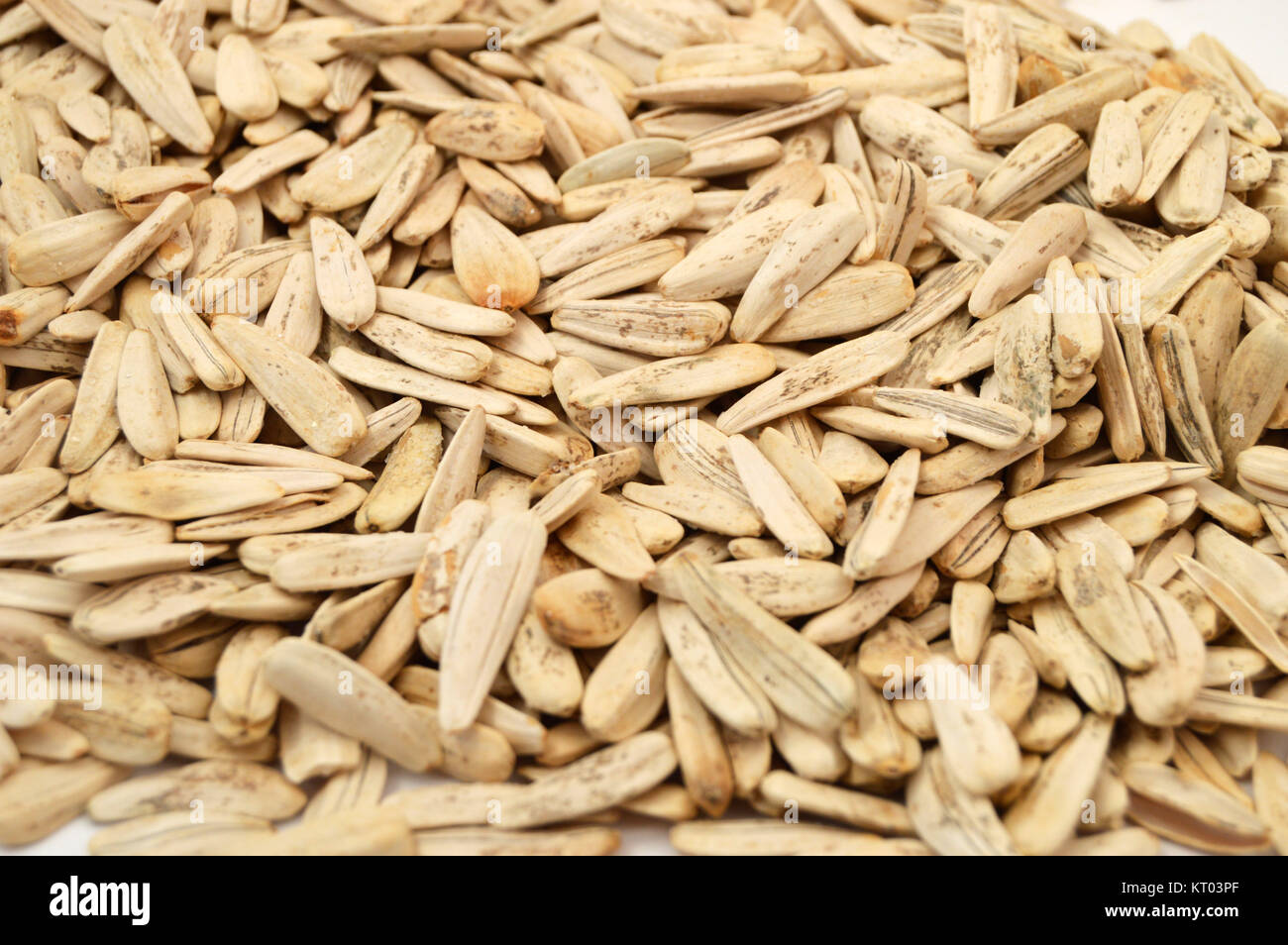 New and high quality roasted shell sunflower pictures Stock Photo - Alamy