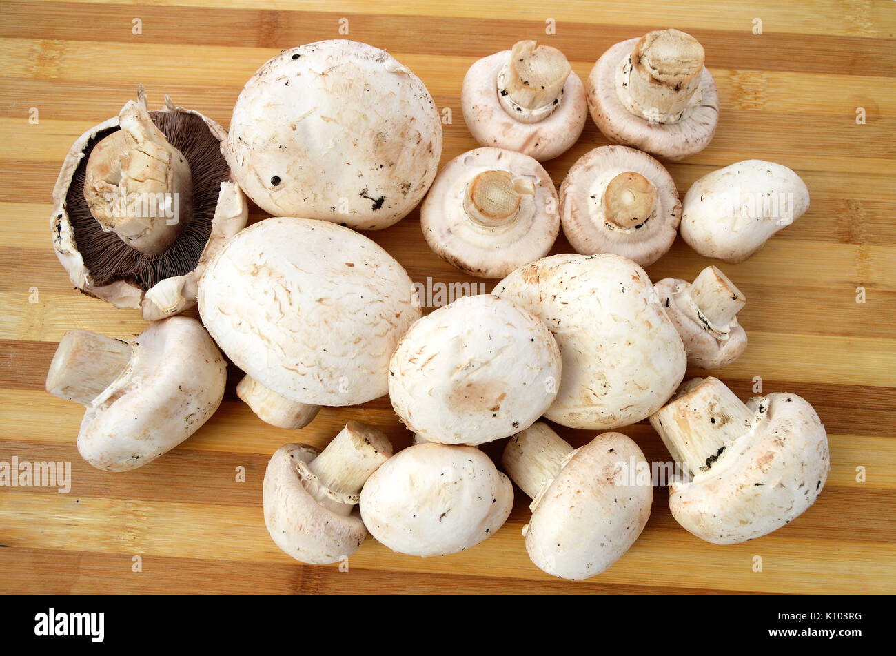 Jpeg mushroom images hi-res stock photography and images - Alamy