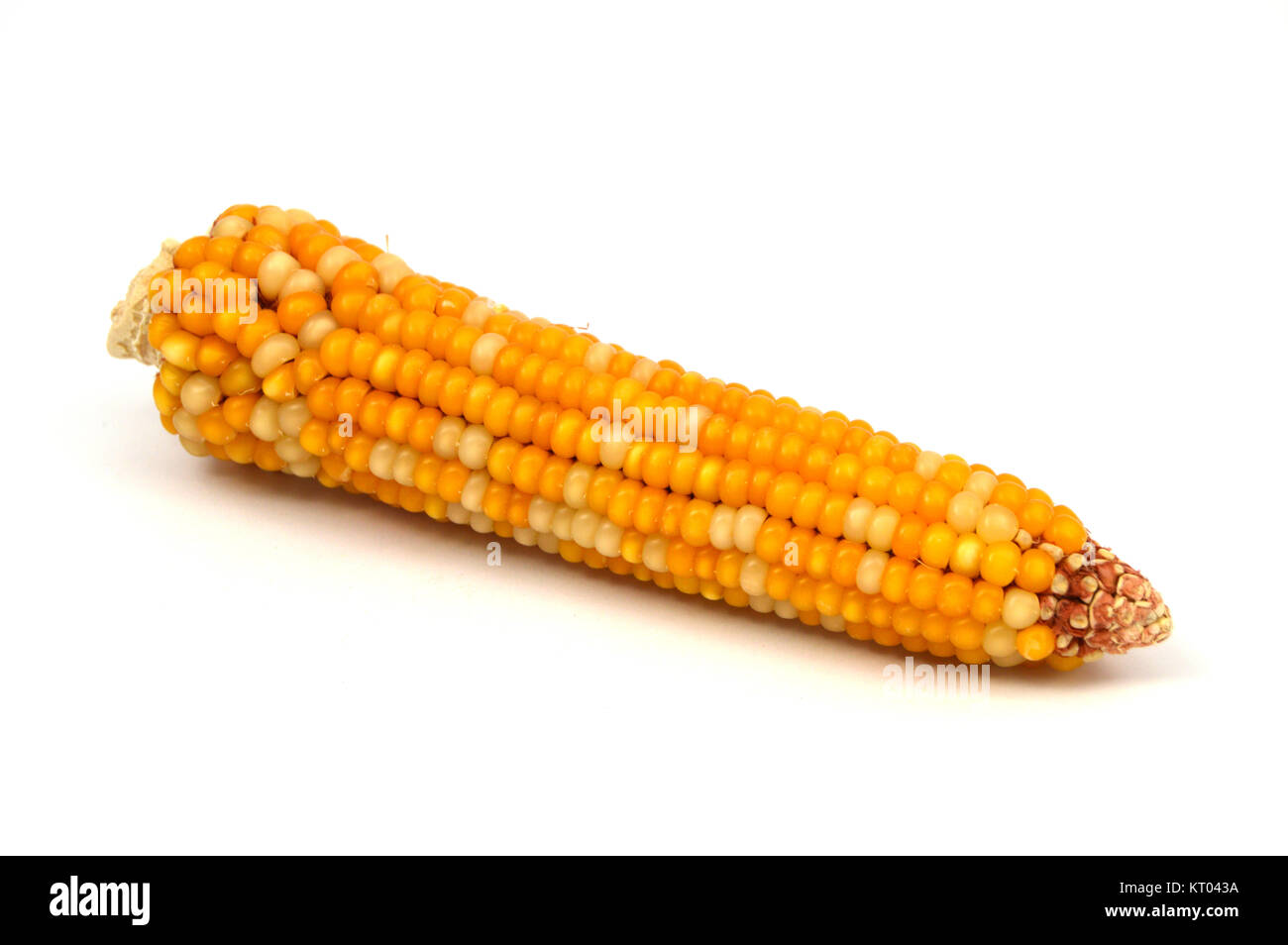 ground white corn multiple pictures Stock Photo - Alamy