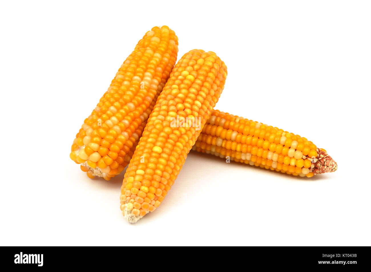 ground white corn multiple pictures Stock Photo - Alamy