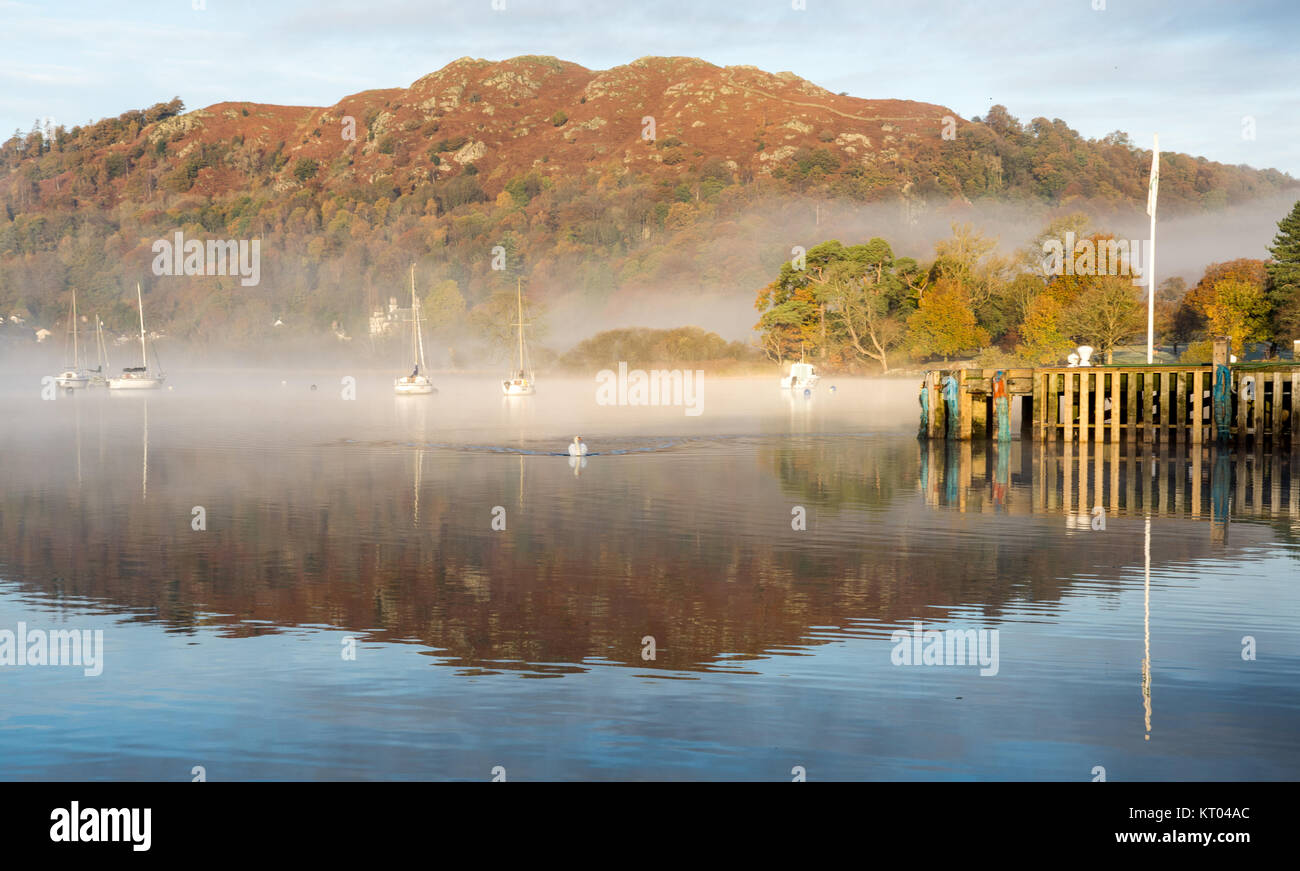 Mist rises from Windermere lake, beside woodland trees in autumn ...