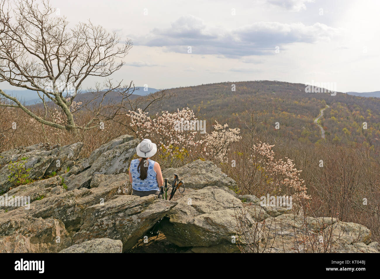 Enjoying the Early Spring Mountain View on Frazier Ridge in Shenadoah ...