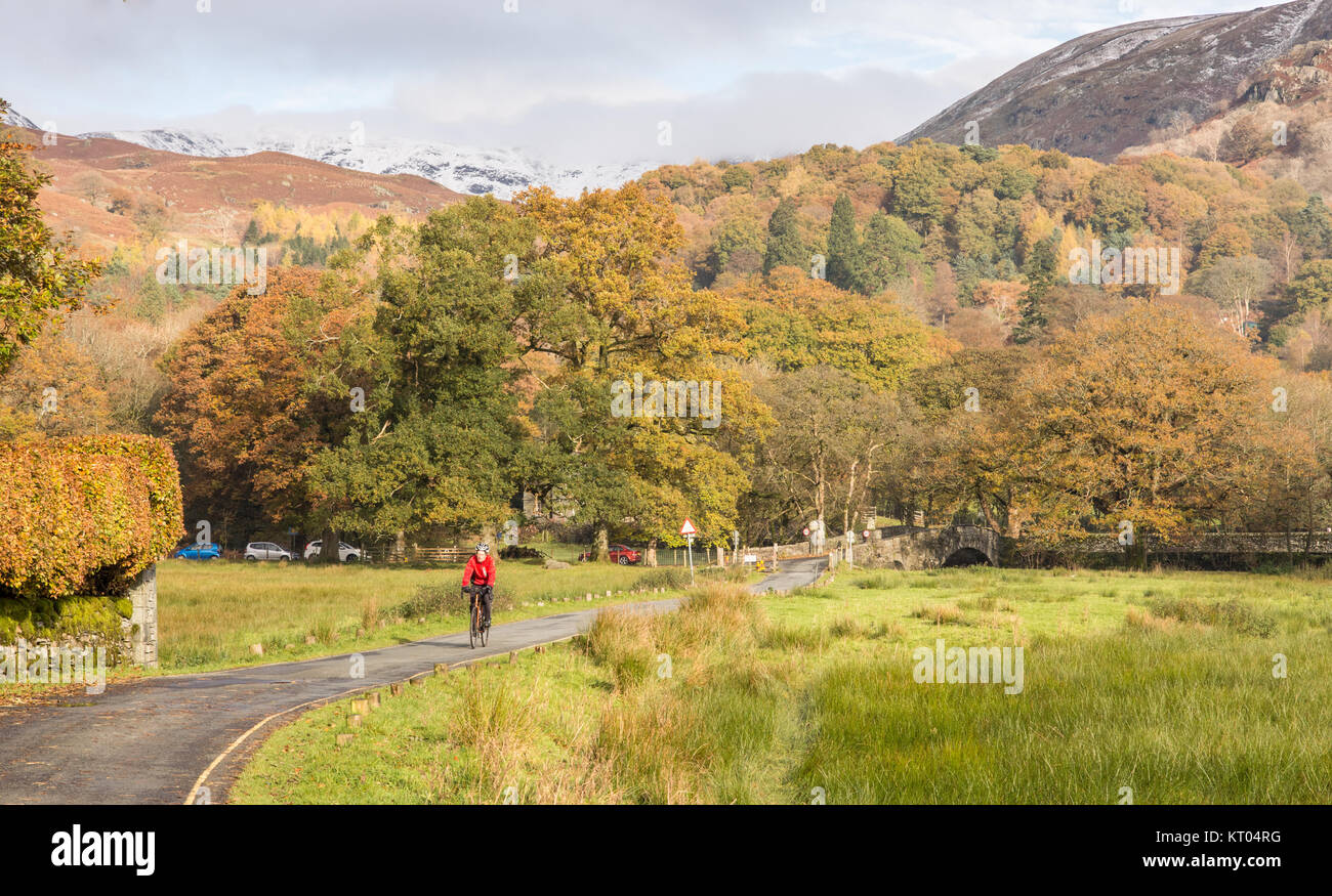 Ambleside, England, UK - November 11, 2016: A cyclist rides on National ...