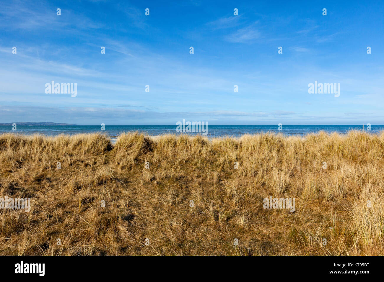 Coastline Ecosystems, Anglesey, Ynys Mon, North Wales, UK Stock Photo ...