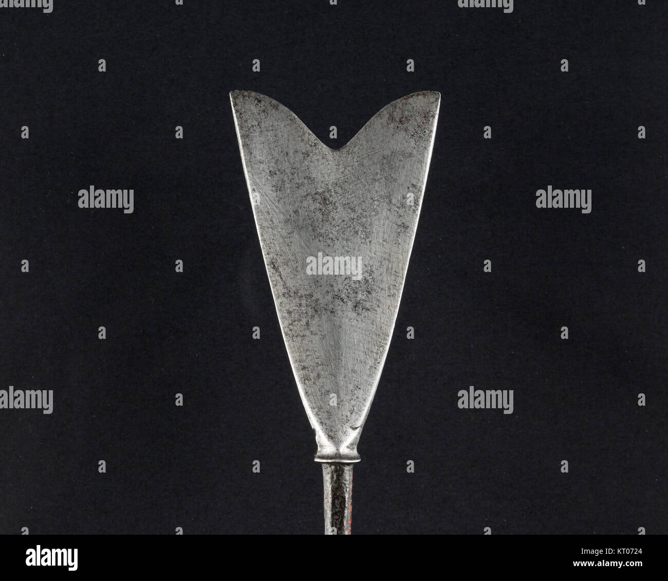 Prehistoric find in museum hi-res stock photography and images - Alamy