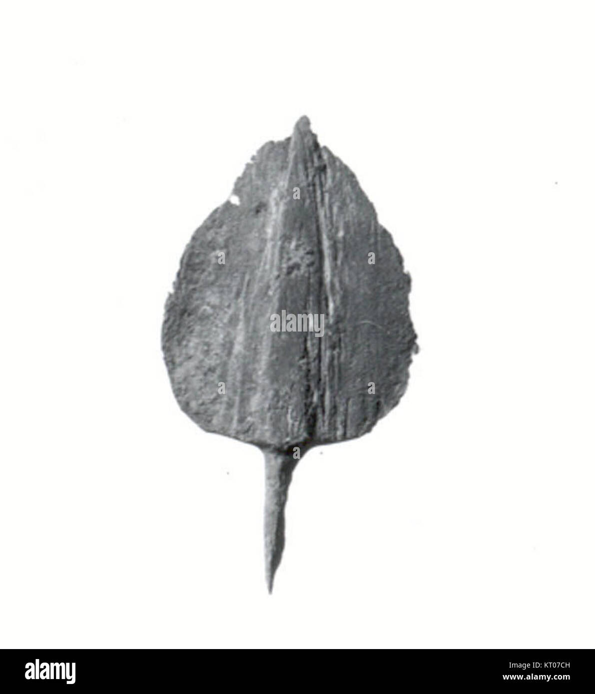 This arrowhead, part of the MET collection, represents a historical ...
