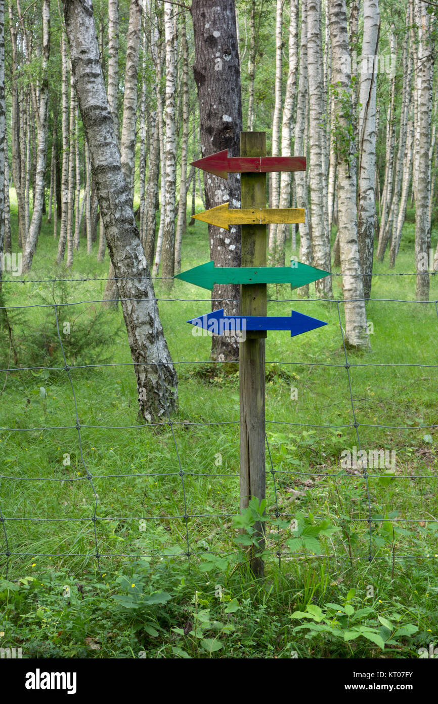 Arrows marking multiple hiking trails in Gullmarsskogen Stock Photo - Alamy