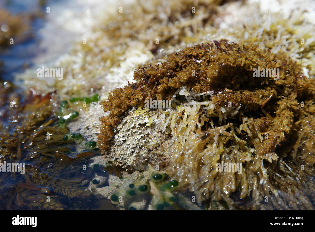 Environmental conservation area hi-res stock photography and images - Alamy