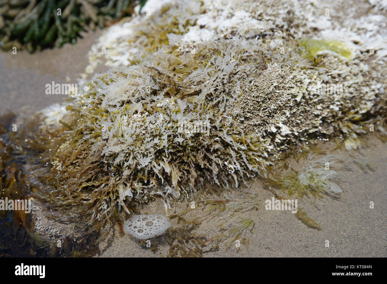 The Arthur-Pieman Conservation Area in Tasmania is a protected area ...