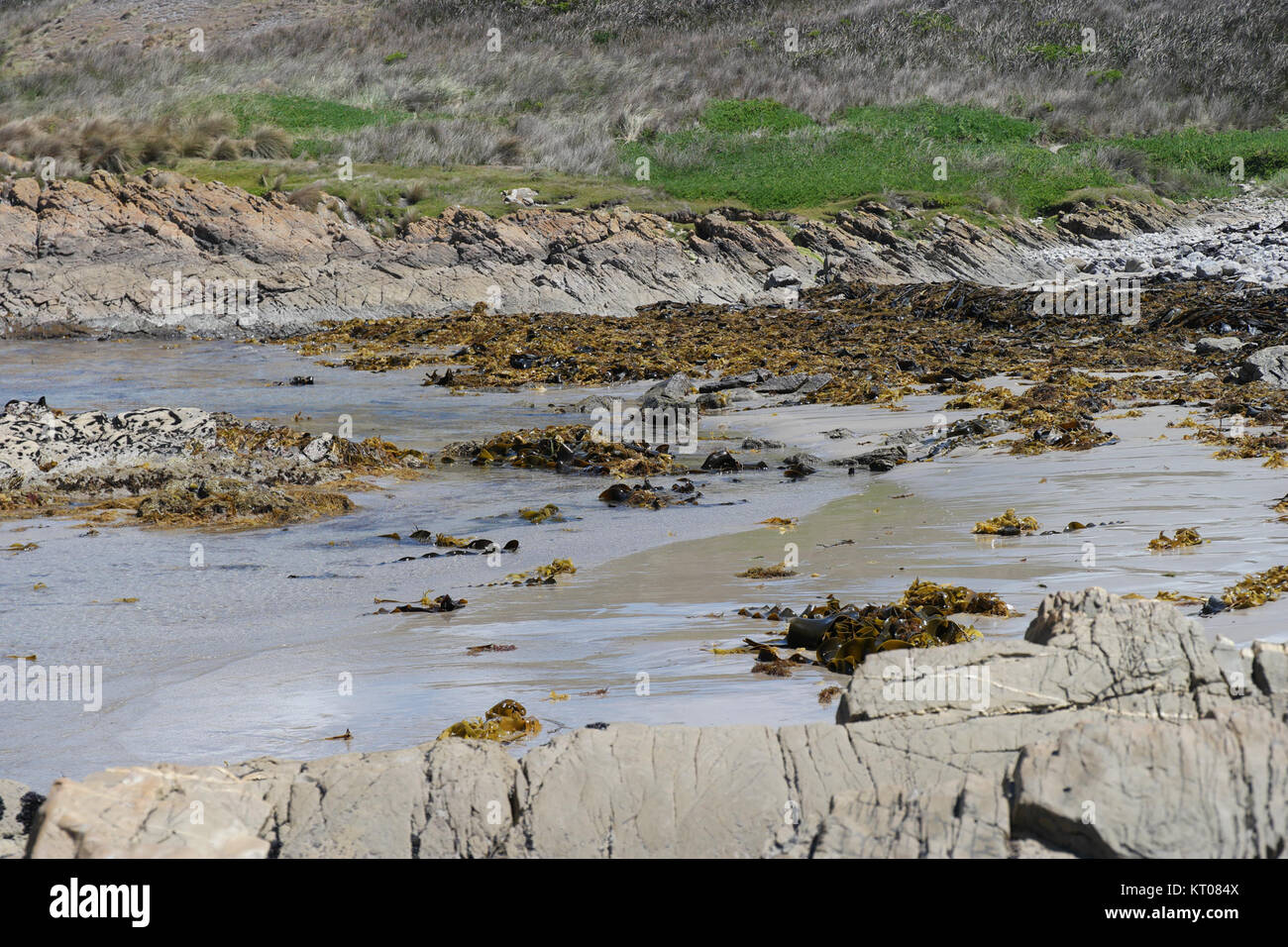 The Arthur-Pieman Conservation Area in Tasmania is a significant ...