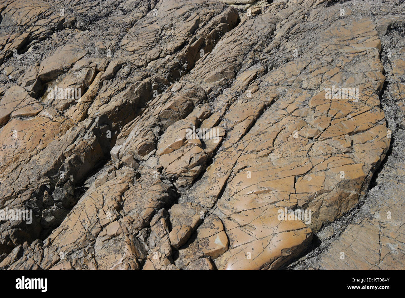 The Arthur-Pieman Conservation Area in Tasmania is known for its ...