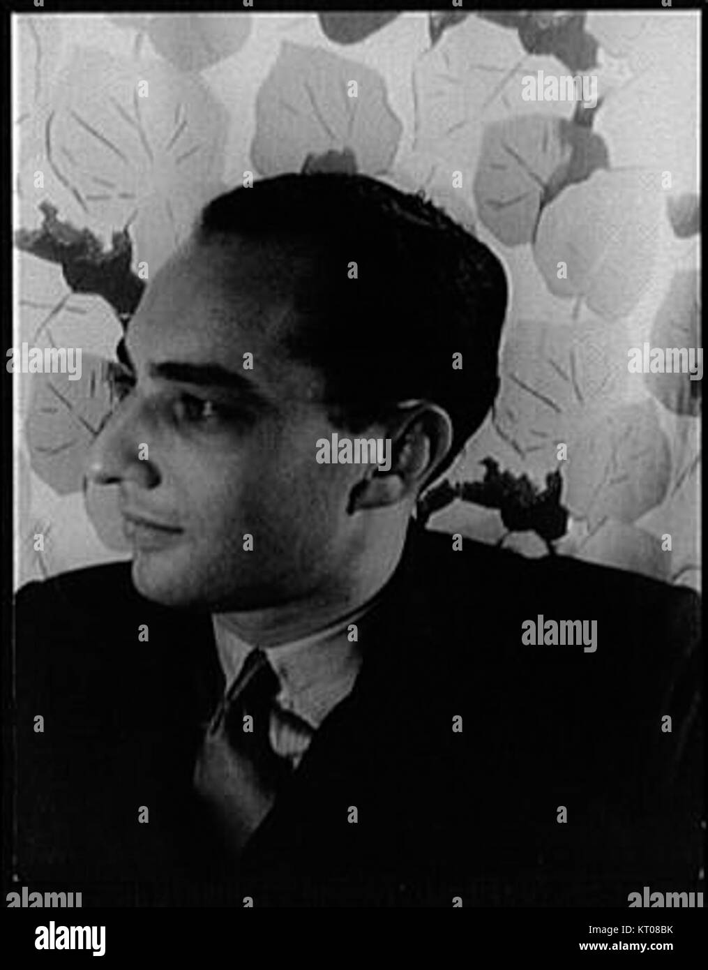 A portrait of Arthur Schwartz, captured by photographer Carl Van ...