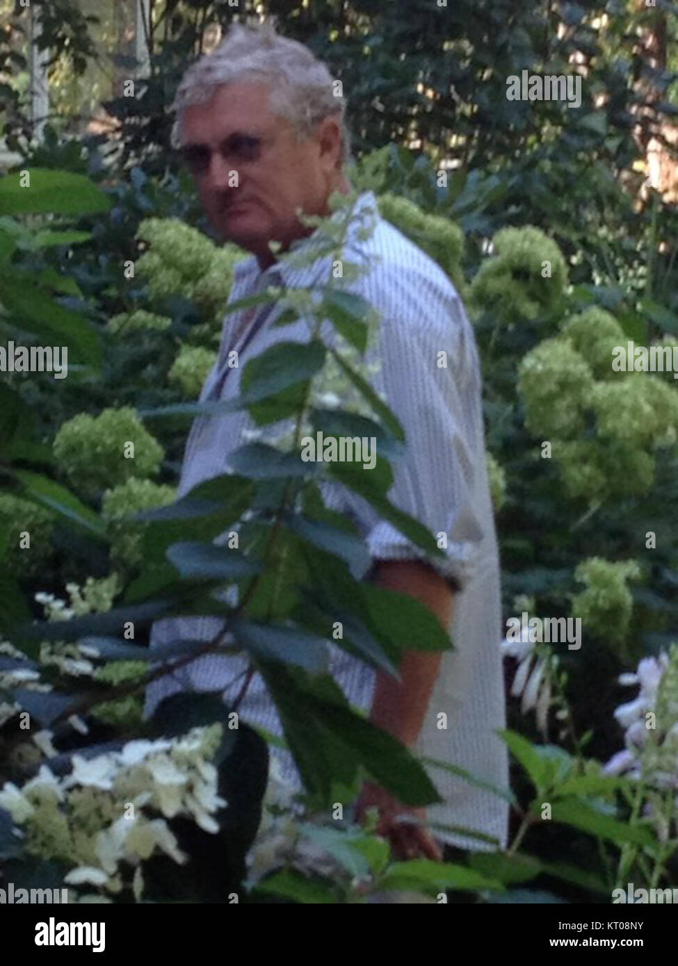 Walter Robinson is an American artist known for his work in the art ...