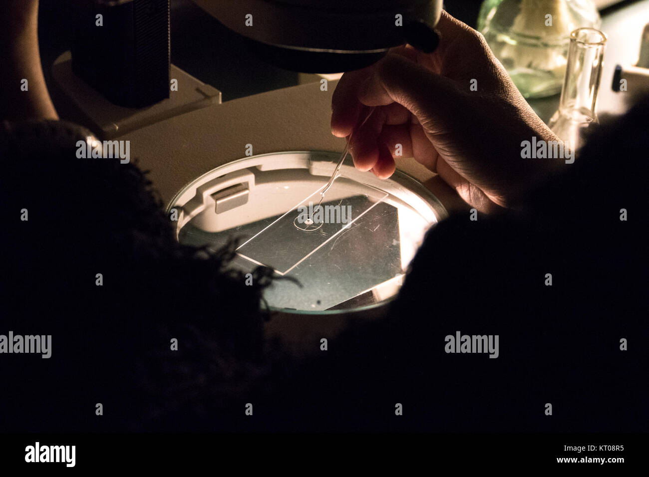 Engaging visual dialogue hi-res stock photography and images - Alamy