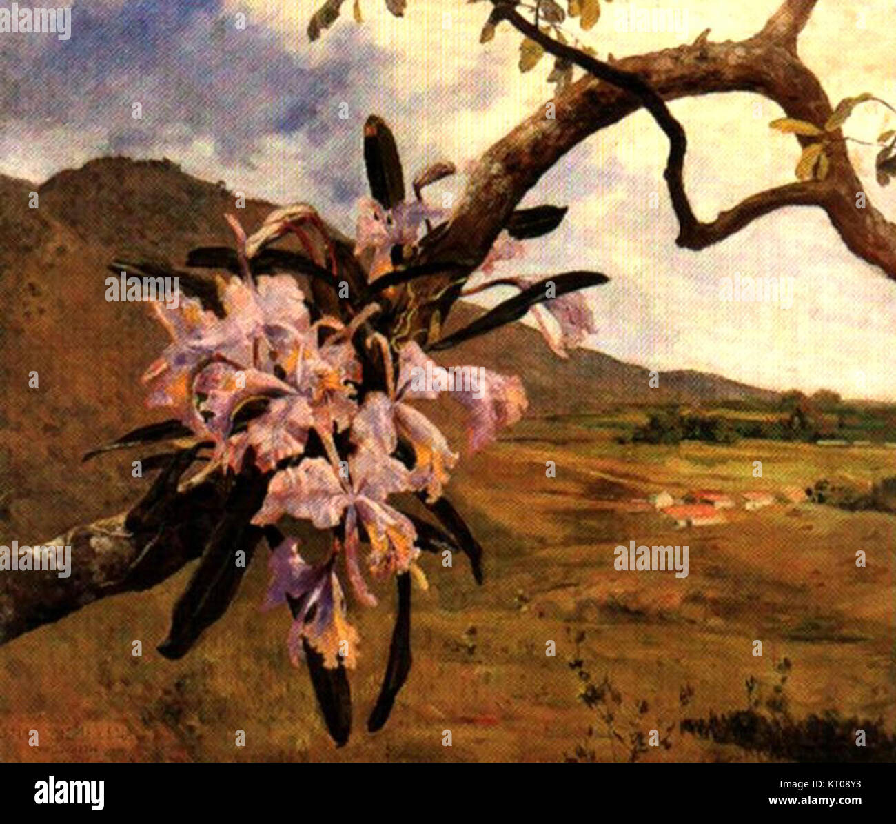 Arturo Michelena 14 Stock Photo - Alamy